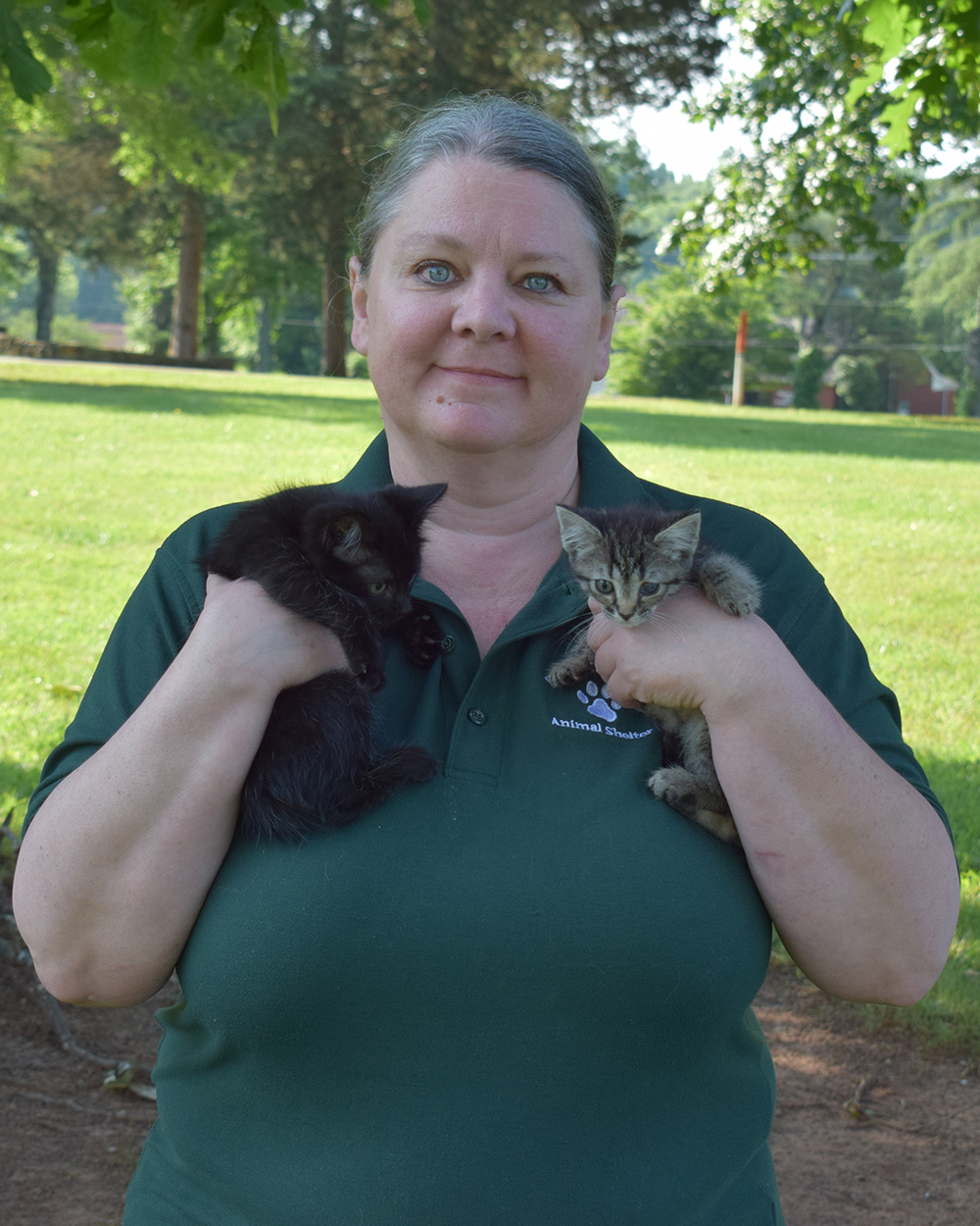 Animal Shelter Animal Shelter